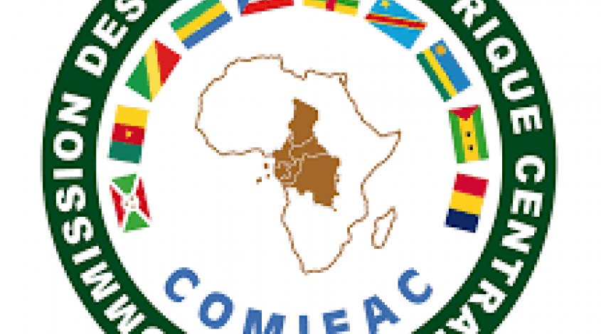 Dynafac : Améliorer les plans d’aménagement en respectant la dynamique ...